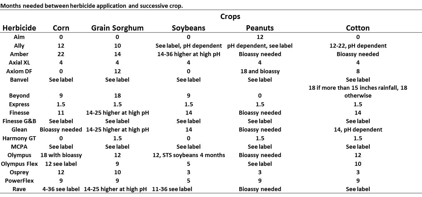 Planting considerations after hayed or failed wheat crop « Down and ...